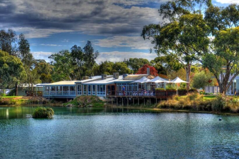 Barossa and Hahndorf Hill Tour - Introduction: What’s the Experience All About?