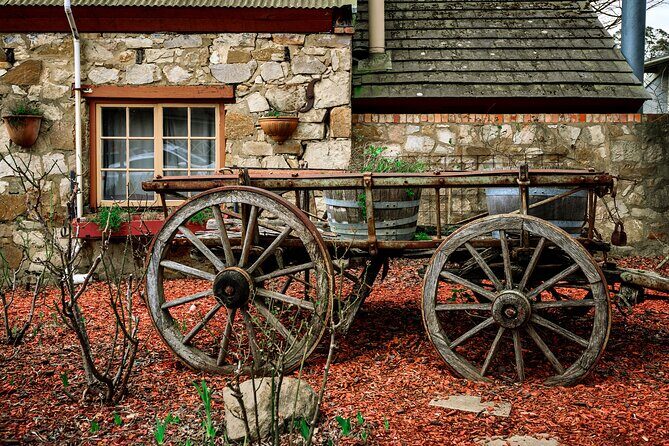 Barossa and Hahndorf Wine Tasting and Sightseeing Tour - Who Will Love This Tour?