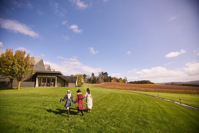 Barossa Small Group Wine Tours with Wine Tasting and Lunch - Who Will Enjoy This Tour?
