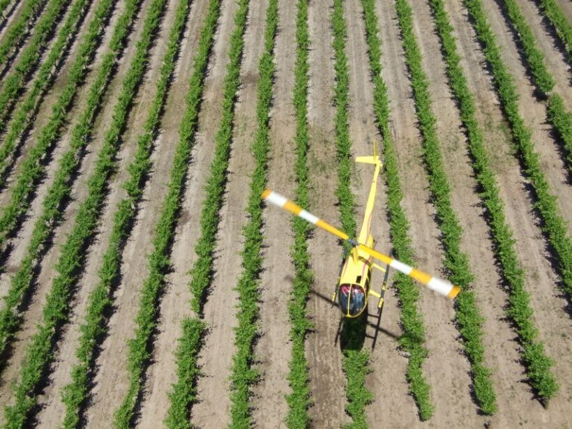Barossa Valley: 10-Minute Scenic Helicopter Flight - Why This Tour Works for Different Travelers