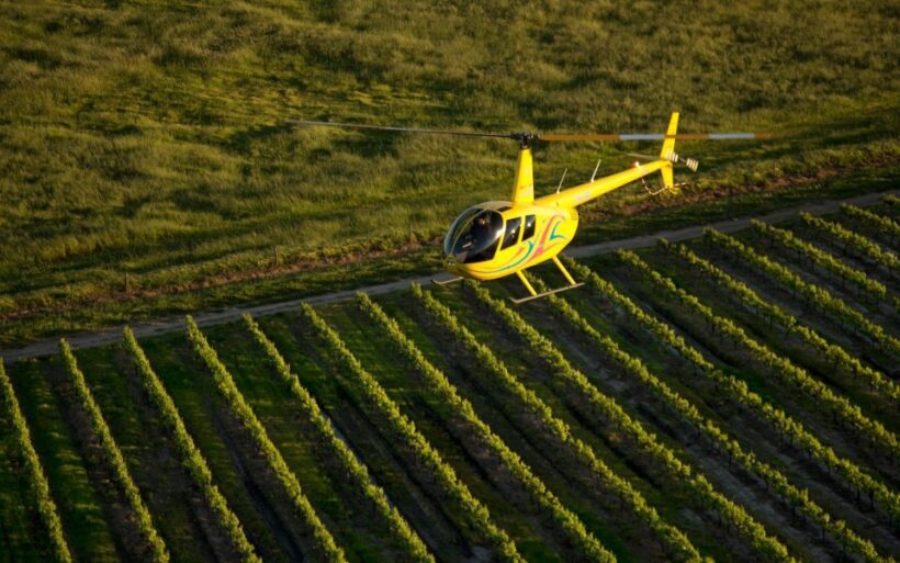 Barossa Valley: 20-Minute Scenic Helicopter Flight - What to Expect from Your Helicopter Flight