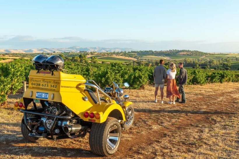 Barossa Valley: 3.5hr Trike Tour For 2 - The Experience: How the Day Unfolds