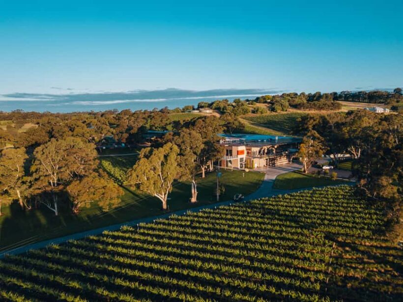 Barossa Valley: Canape and Wine Pairing at Lambert Estate - Key Points