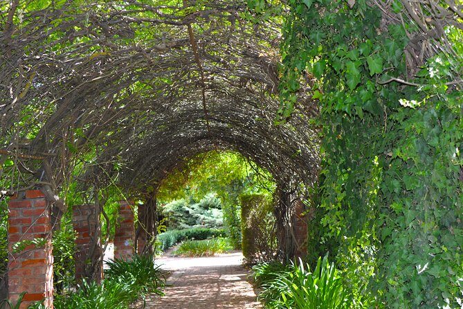 Barossa Valley Cellar Door Small Group Tour - An In-Depth Look at the Tour Itinerary