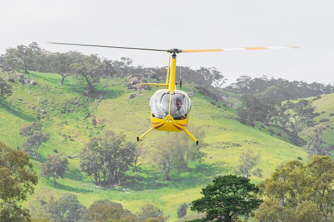Barossa Valley Deluxe: 30-Minute Helicopter Flight - Practical Details and What to Expect