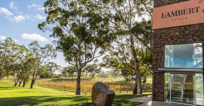 Barossa Valley: EcoVine Explorer - e-cart vineyard tour - An In-Depth Look at the Lambert Estate EcoVine Explorer E-Cart Tour