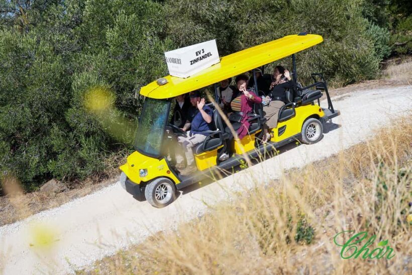 Barossa Valley: EcoVine Explorer - e-cart vineyard tour - FAQs