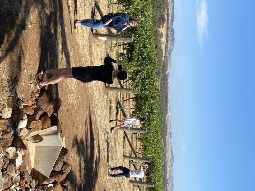 Barossa Valley: Full-Day VIP Barossa Valley Private Car Tour - Who Will Benefit Most from This Tour?
