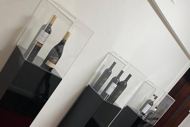 Barossa Valley Gin and Wine Tour - Why This Tour Works Well for Travelers
