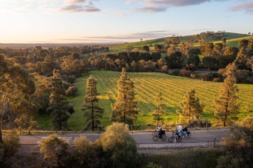 Barossa Valley: Gourmet Food and Wine E-Bike Tour - Who Is This Tour Best For?