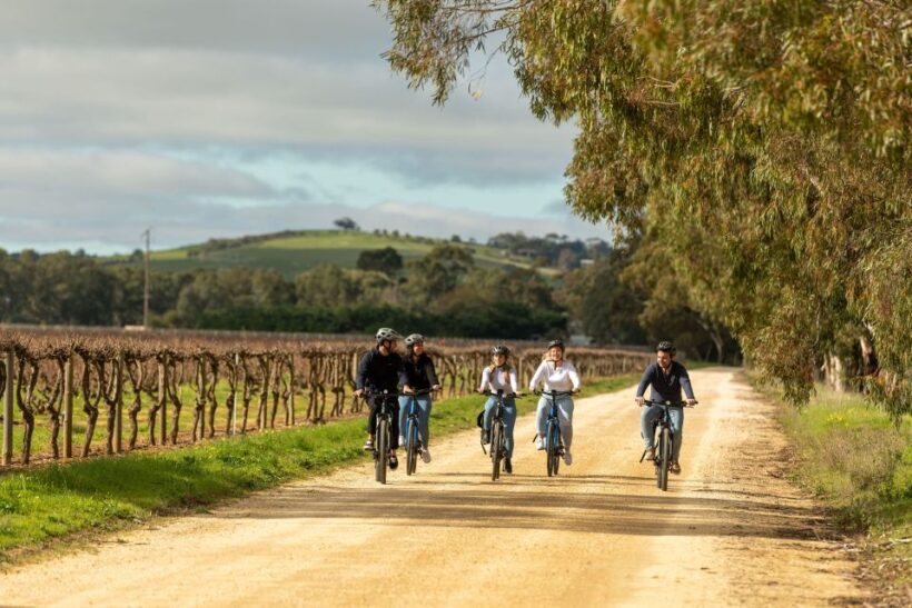 Barossa Valley: Gourmet Food and Wine E-Bike Tour - Final Thoughts