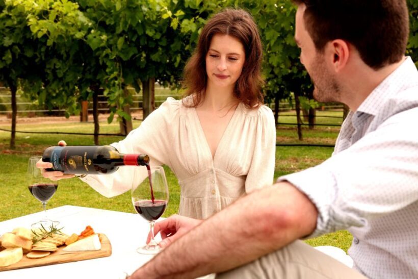 Barossa Valley: Jacob's Creek Perfect Picnic - Who Will Love This Experience?