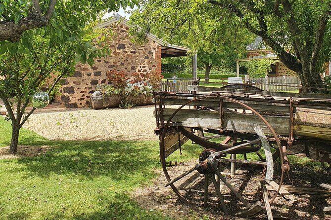 Barossa Valley Shared Tour with Wine Tasting and Lunch - The Verdict: Who Will Love This Tour?