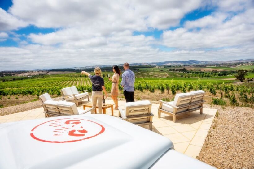 Barossa Valley: Two Hands Flagship Vineyard Experience - A Practical Look at the Two Hands Flagship Vineyard Experience in the Barossa Valley