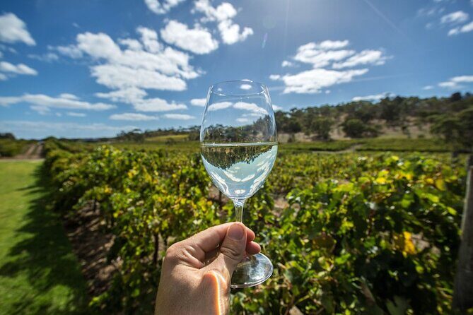 Barossa Valley Wine Tour Tastings and Lunch Included - Key Points
