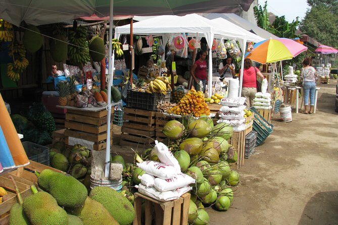 barra de navidad and plantations - An In-Depth Look at the Tour Experience