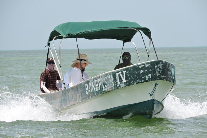 Barracuda Fishing Day Cancun - A Detailed Look at the Barracuda Fishing Day Cancun Experience
