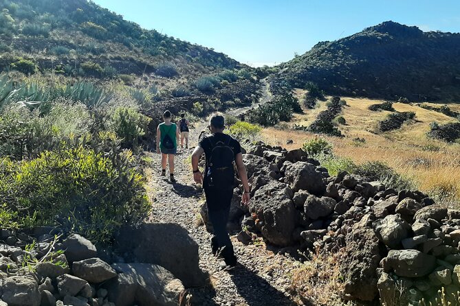 Barranco De Las Vacas Tour Review - Itinerary