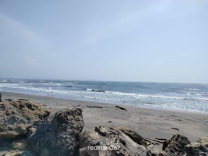 Barranquilla: Magdalena River and Bocas de Cenizas Tour - Key Points