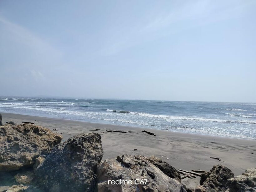 Barranquilla: Magdalena River and Bocas de Cenizas Tour - A Closer Look: What’s Included and What to Expect