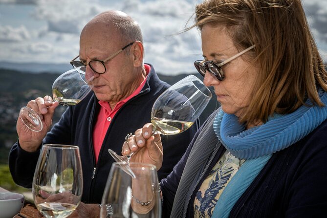 Barrel Tasting - Quinta de Santa Cristina Vinho Verde - Final Thoughts: Is It Worth It?