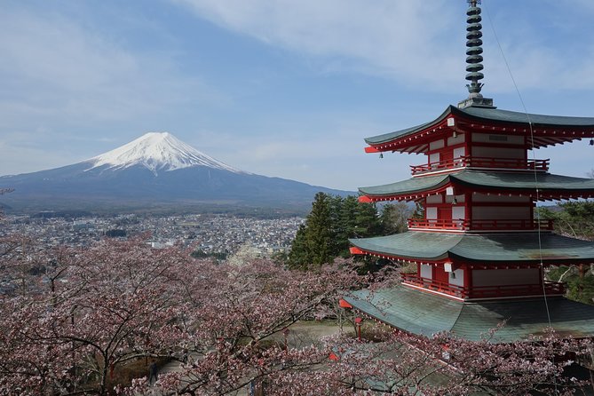 Barrier-Free Private Mt. Fuji Tour for Wheelchair Users - Accessibility Features