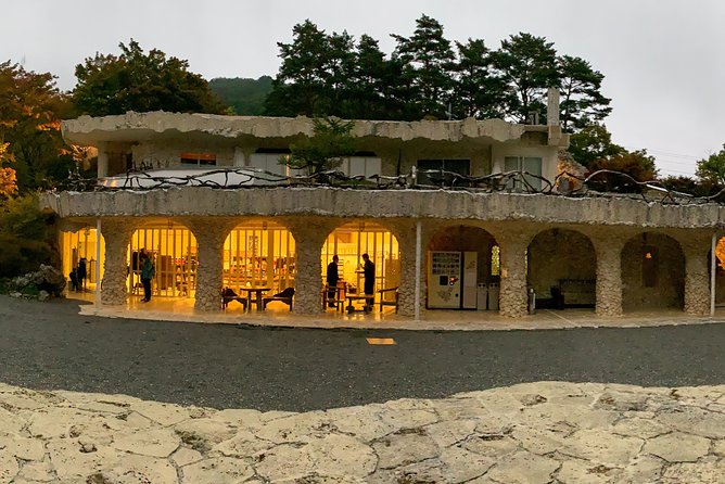 Barrier-Free Private Mt. Fuji Tour for Wheelchair Users - Exploring Mt. Fuji and Beyond