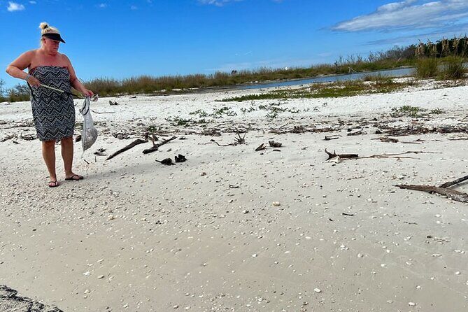 Barrier Island Shelling Tour - The Sum Up