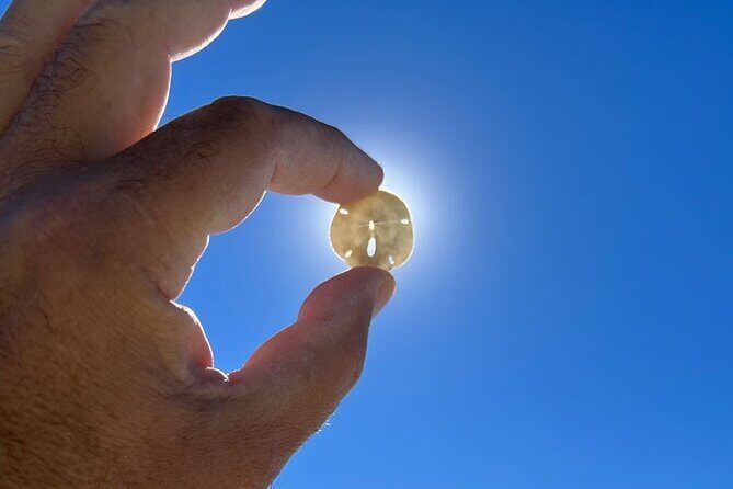 Barrier Island Shelling Tour - FAQ