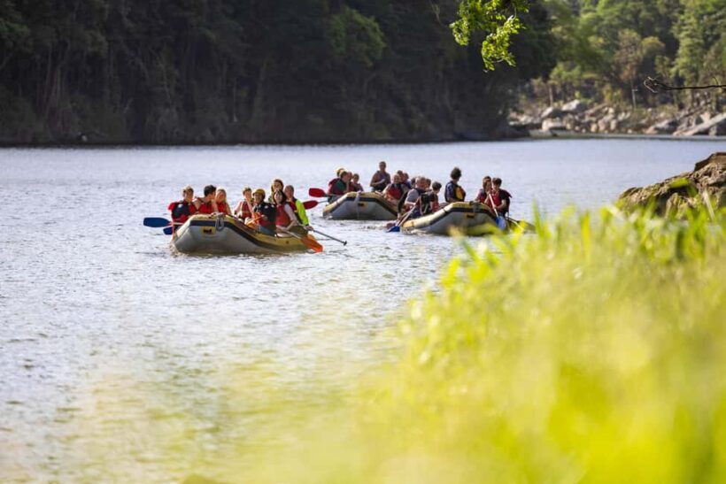 Barron Gorge: Half-Day Barron River White-Water Rafting - Who Will Love This Tour?