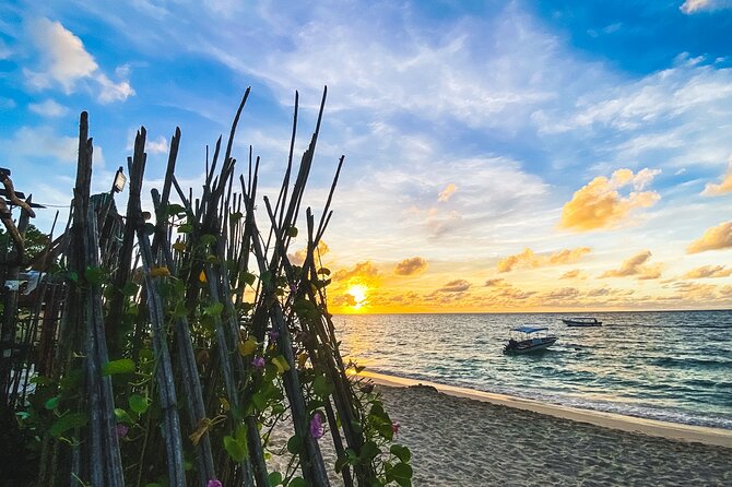 Baru and Playa Blanca Full Day - Meeting Point and Accessibility