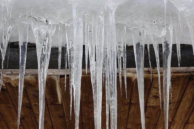 Baseball Professional • Yomiuri Giants - Additional Details