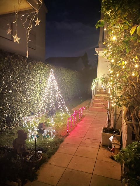 Basel: Cheese Fondue, Wine and Dessert Culinary Experience - Participant Information