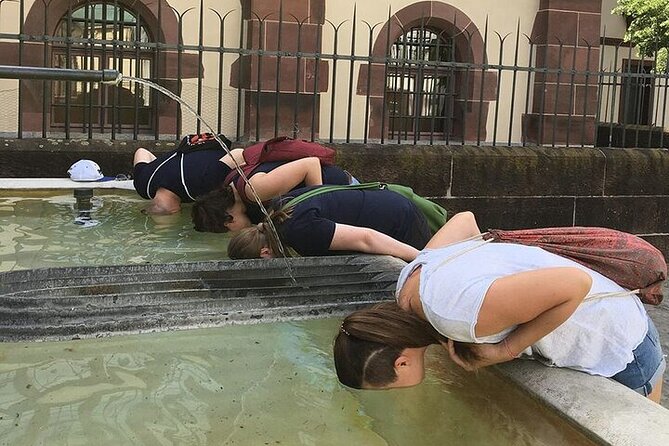 Basel Foxtrail Yellow - Who Will Love This Tour?