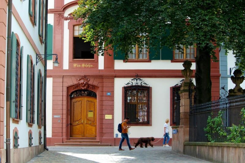 Basel Private Guided City Tour - Highlights and Attractions