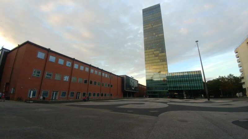 Basel: Private Walking Tour With a Local Guide - Experience and Highlights