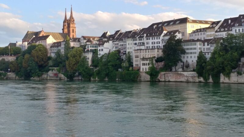 Basel: Private Walking Tour With a Local Guide - Strolling Through the Merian Gardens