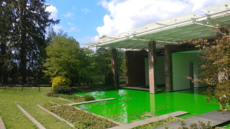 Basel: Private Walking Tour With a Local Guide - Discovering the Citys Hidden Gems