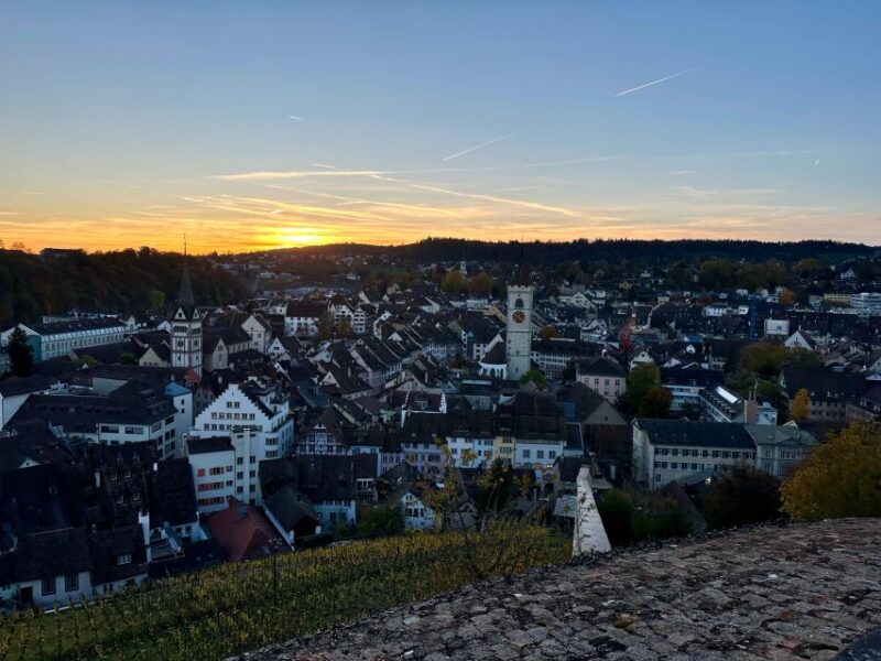 Basel: Schaffhausen & the Rhines Largest Falls Private Tour - Rhine Falls Visit