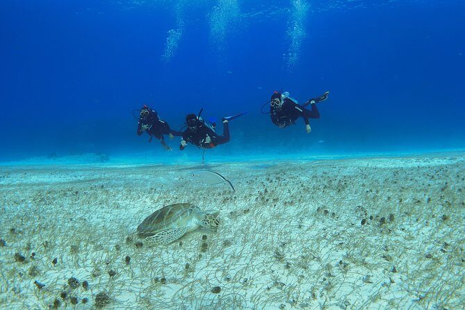 Basic Diver - Bautismo - Who Should Consider This Tour?