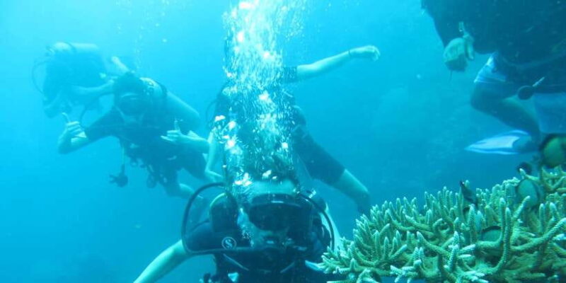 Basic Fun Dive At Menjangan Island - Key Points