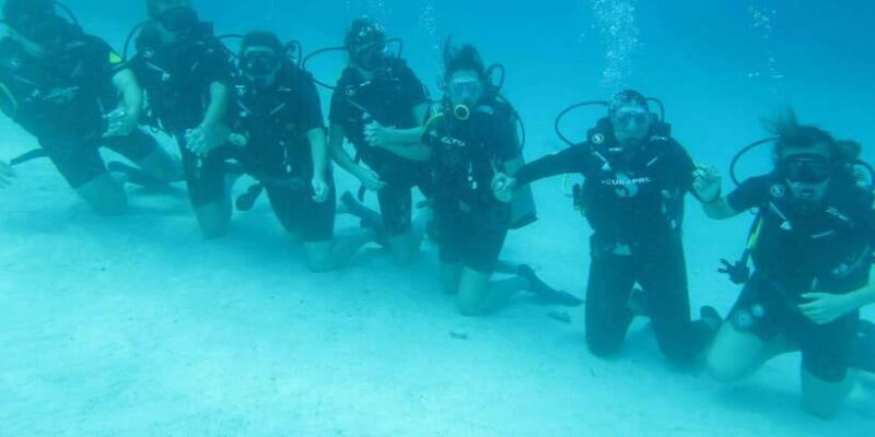 Basic Fun Dive At Menjangan Island - The Marine Environment: What You’ll See