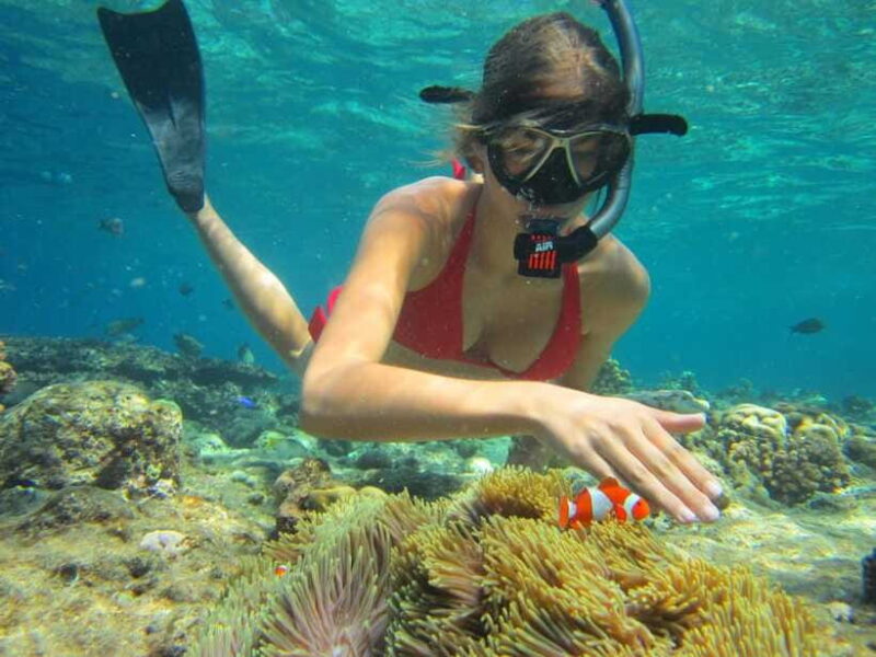 Basic Snorkeling Menjangan Island - FAQ