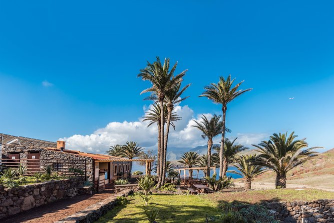 Basic Tour 1 - Cais do Sardinha to Quinta do Lorde (one way) - What Travelers Say