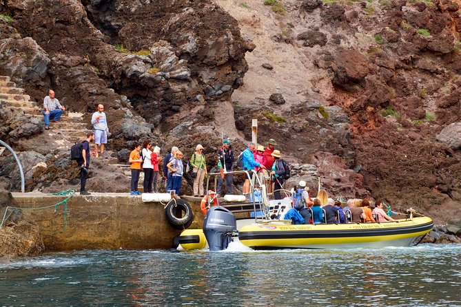 Basic Tour 2 - Quinta do Lorde to Cais do Sardinha and return - Value and Who Will Appreciate This Tour?