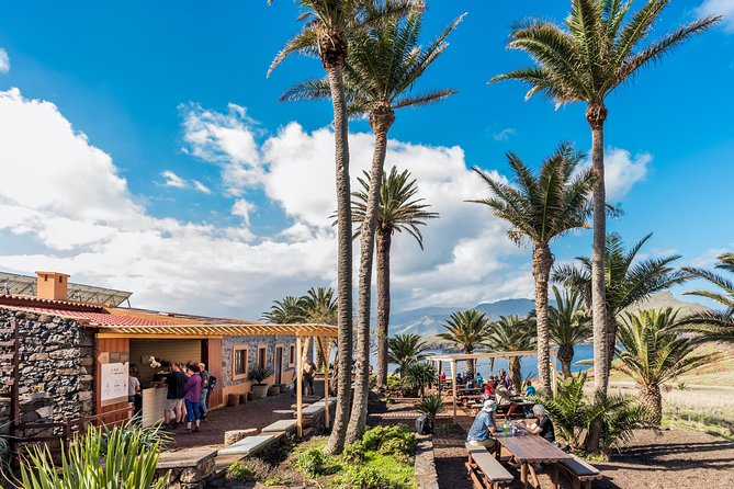 Basic Tour 2 - Quinta do Lorde to Cais do Sardinha and return - The Sum Up: Why This Tour Might Be Your Madeira Moment