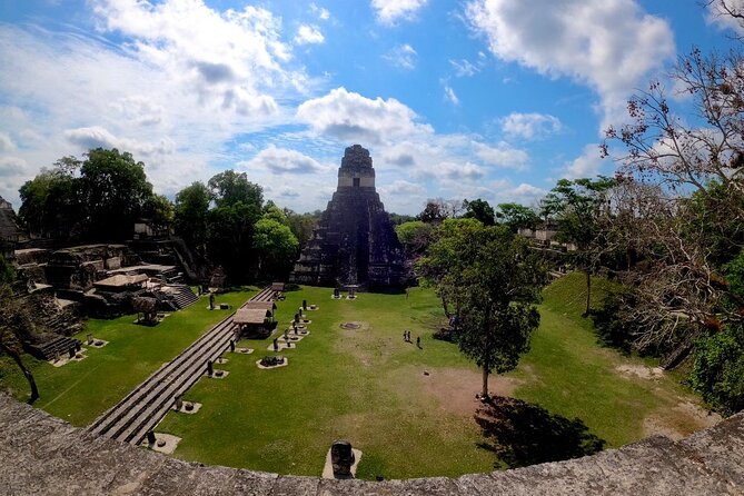 Basic Tour to Tikal Includes Transportation and Guide Service - Customer Reviews and Experiences