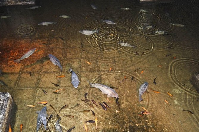 Basilica Cistern Skip the Line Ticket - Understanding the Skip the Line Feature