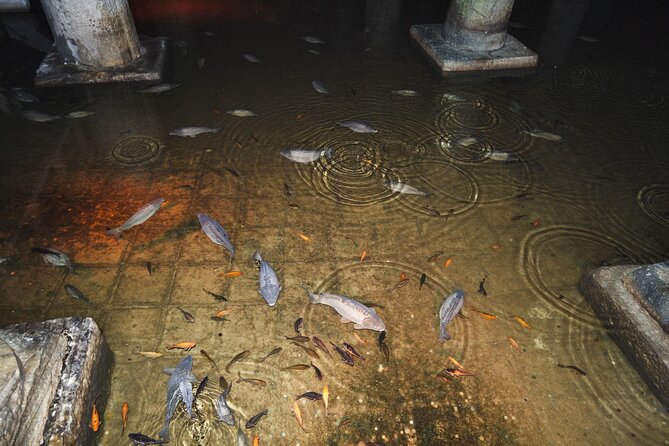 Basilica Cistern Small Group, Live Guide. W/Skip-The-Line Ticket - Included Features