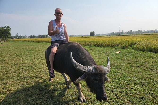 Basket Boat& Buffalo ride-Farming-Pottery Making &HoiAn City Tour - What to Expect and Why It Matters
